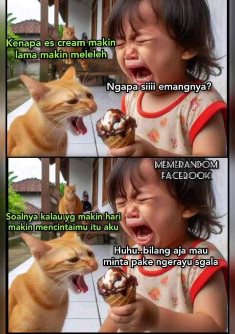 10 Meme Kucing Lucu Bikin Ngakak - Penasihat Kucing